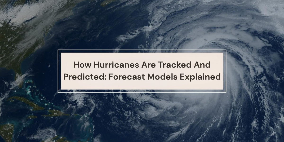 How Hurricanes Are Tracked And Predicted: Forecast Models Explained ...