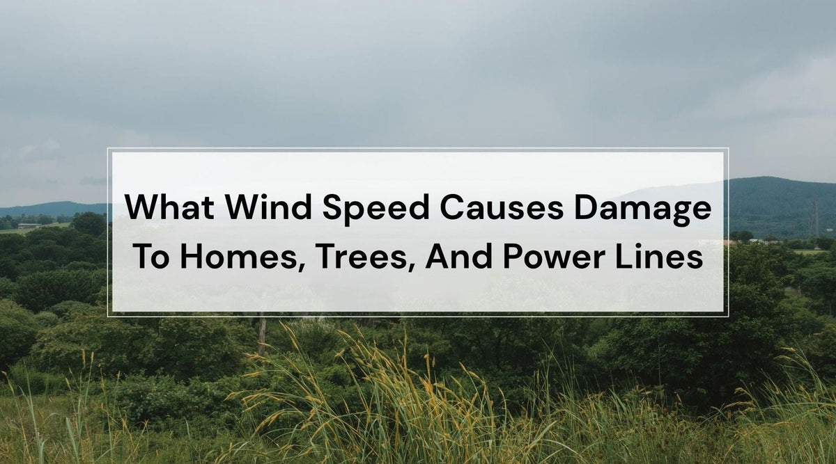 What Wind Speed Causes Damage To Homes, Trees, And Power Lines ...