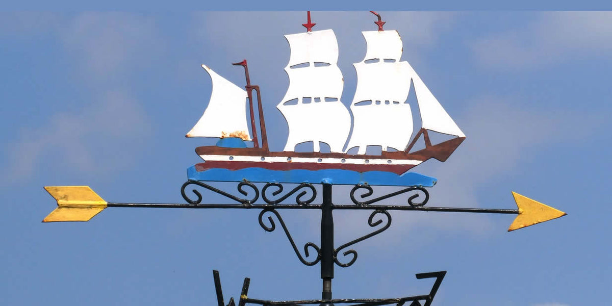 The Wild Weathervane Guide — Weather Scientific